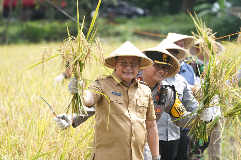 OKU Ikut Andil Dalam Panen Raya Padi Serentak 14 Provinsi Bersama Presiden - Pariwara OKU